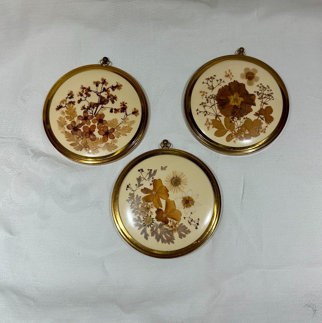 Vintage Pressed Flower Art Set | Mavina Crafts England Wall Décor - Etsy