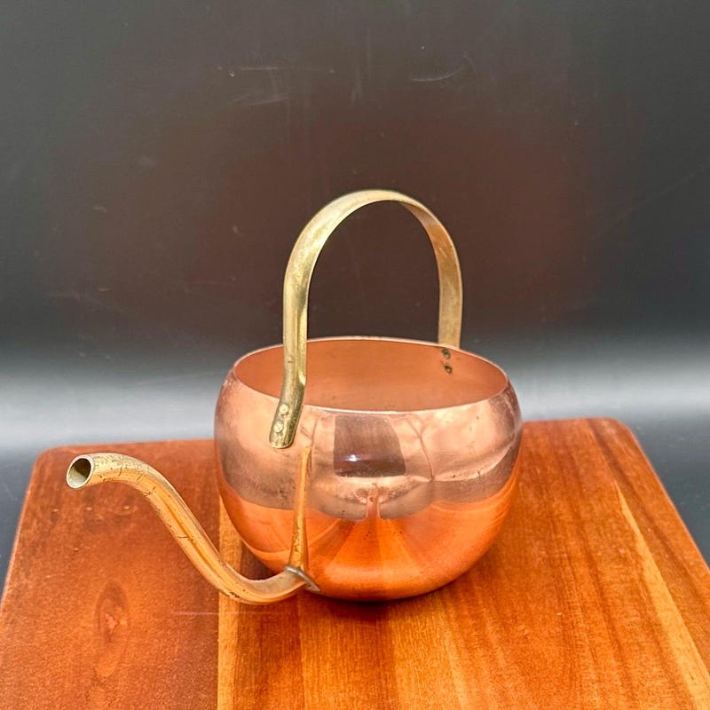 Mid Century Modern Watering Can - Etsy