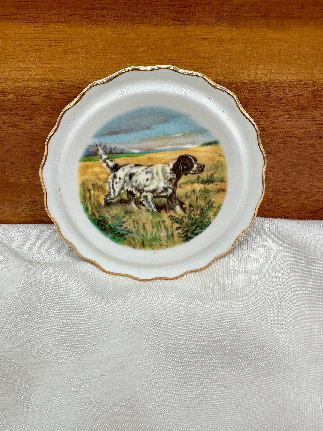 Vintage Royal Grafton Dog Plates – Welsh Springer Spaniel, Pointer ...