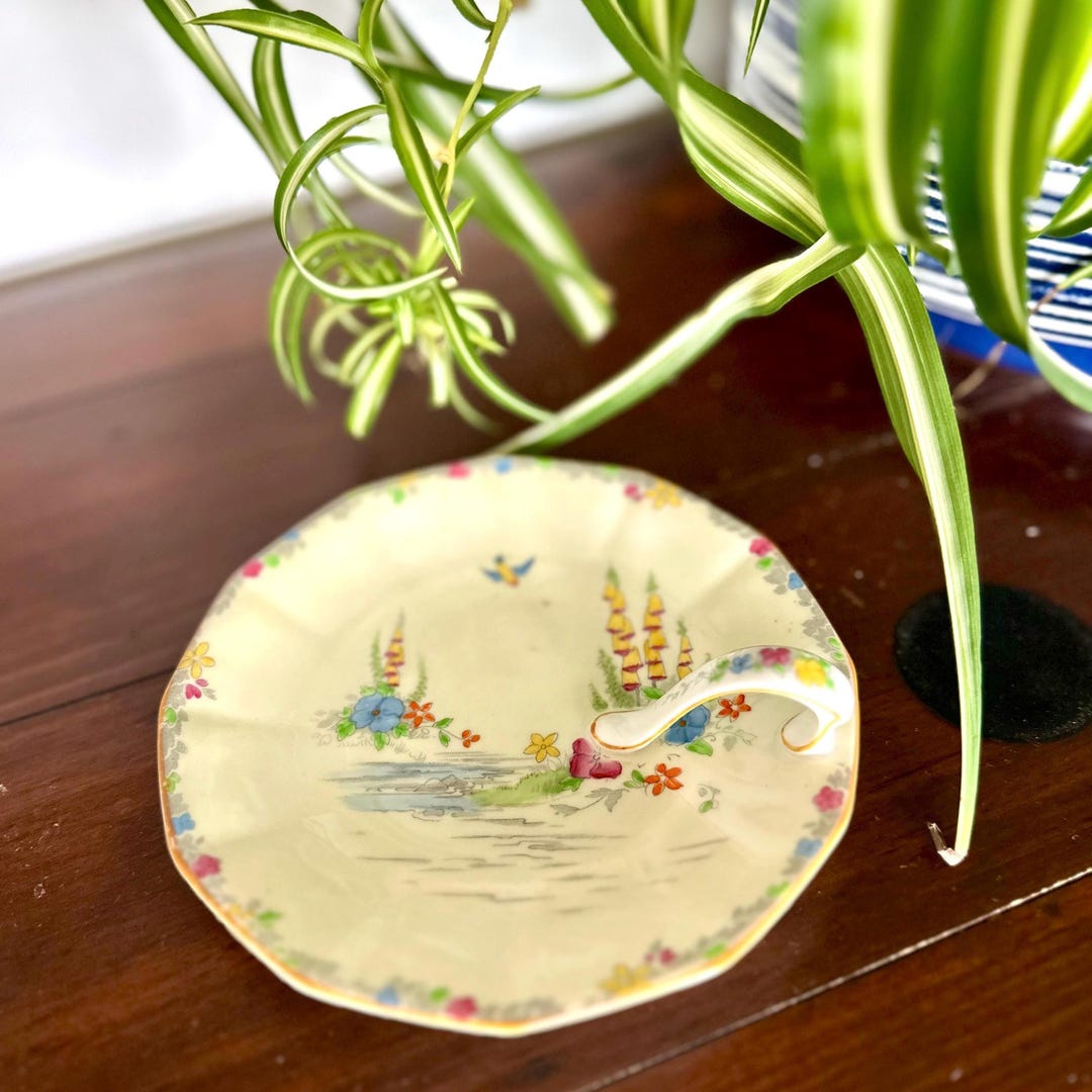 Vintage Paragon Handled Cake Plate, Hand Painted Floral China - Etsy