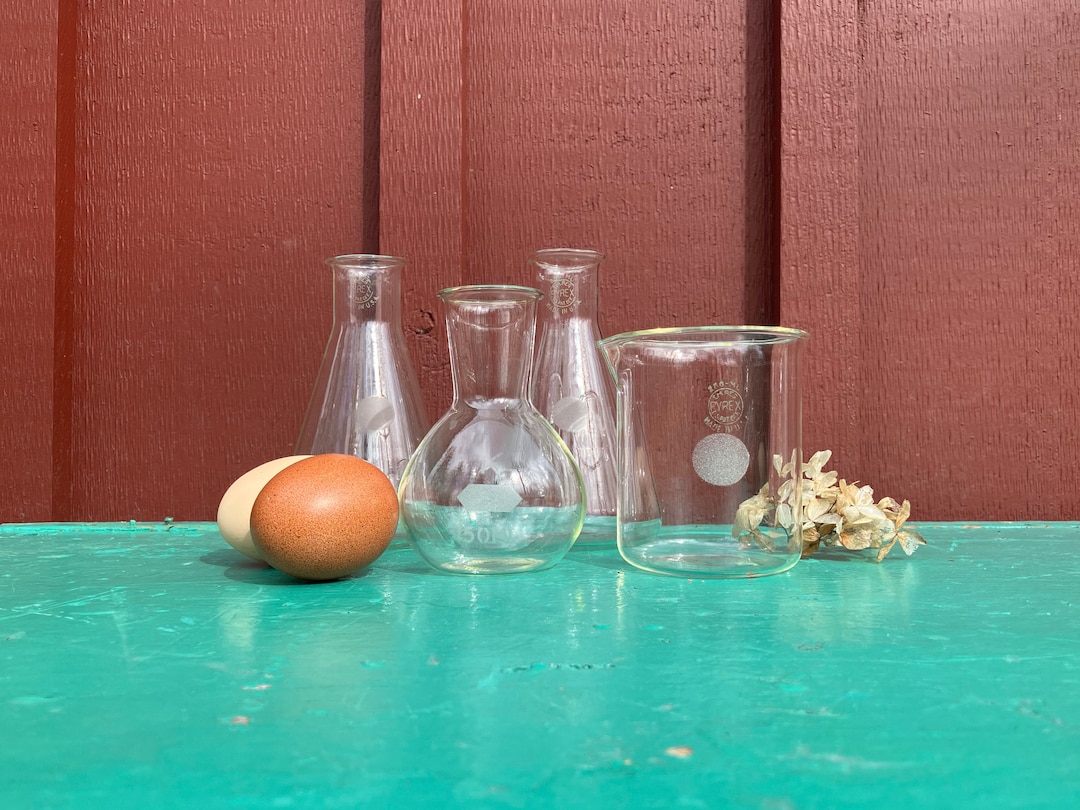 Vintage 4 Piece Set of Glass Beakers Chemistry Science Laboratory Vases ...