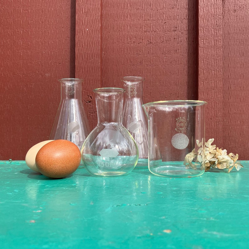 Beaker Vase - Etsy
