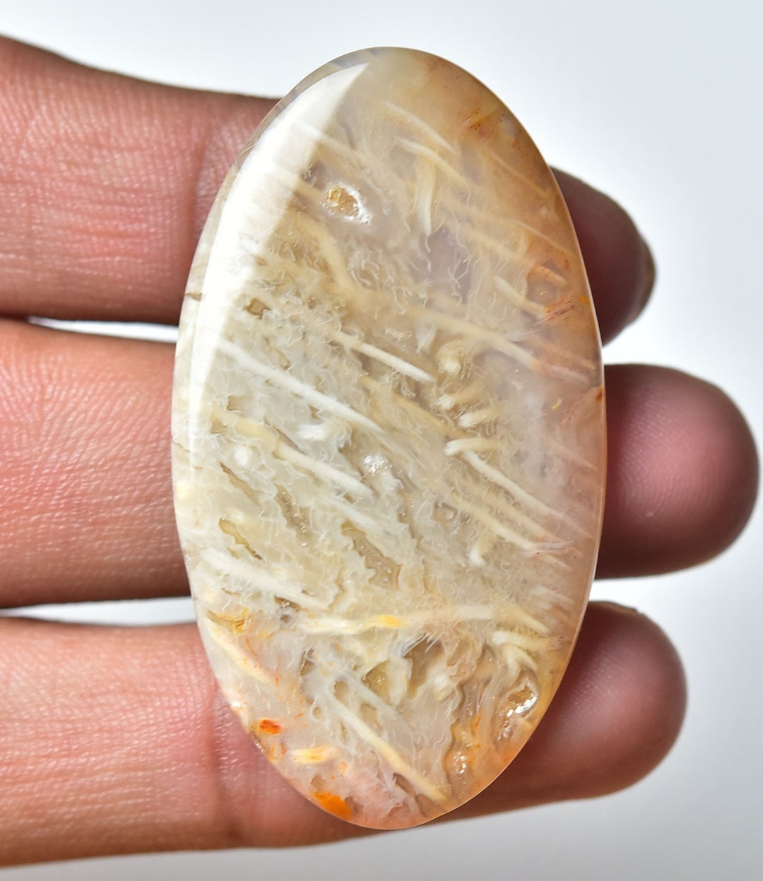 1 Piece Palm Root Jasper Cabochon 27x49mm Oval Shape Natural Jasper ...