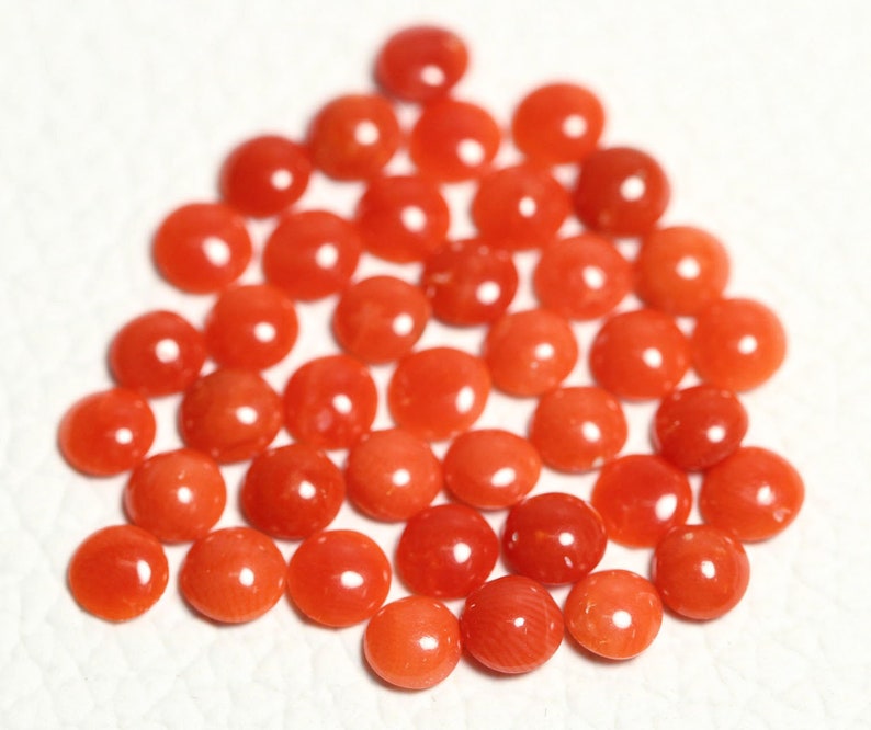 5 Pieces Natural Italian Red Coral Cabochon 4mm Round Shape - Etsy