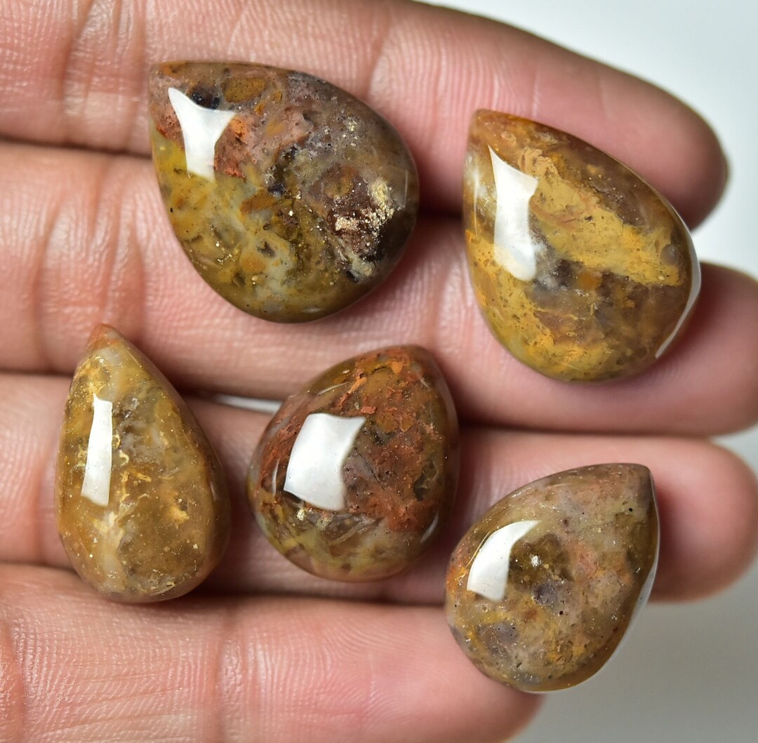 5 Pieces Natural Honey Agate Cabochons Lot 13x21mm to 18x24mm Pear ...