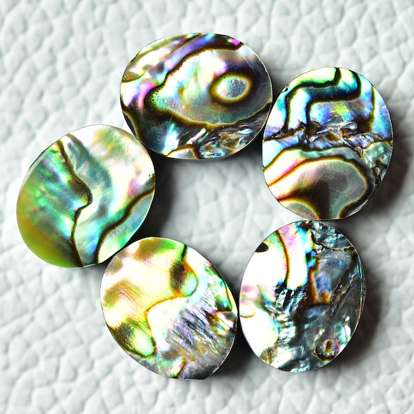 Abalone Cabochons - Etsy