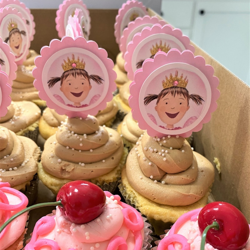 Pinkalicious Cupcake - Etsy