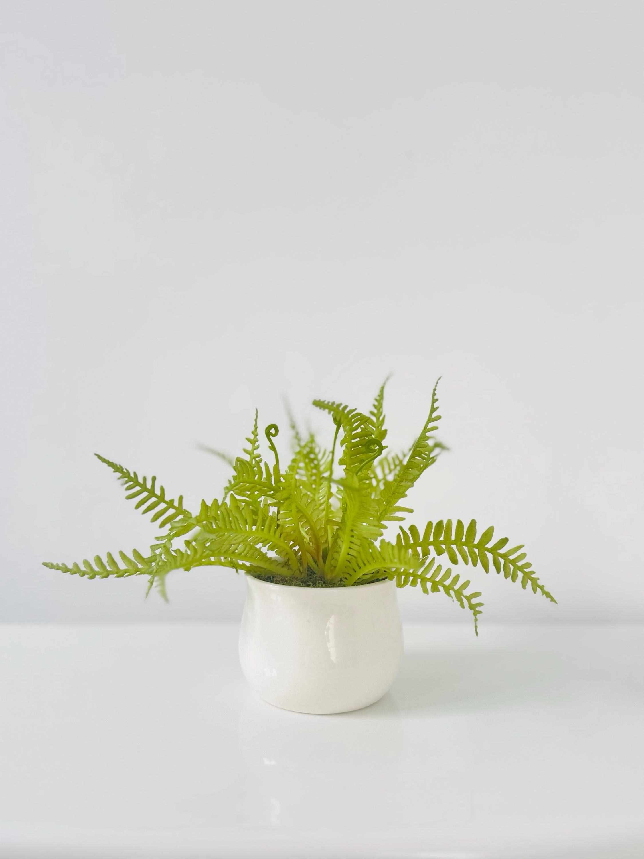 Small Greenery Arrangement, Centerpiece, Tray Decor - Etsy