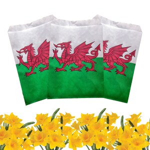 Welsh Flag Paper Bag Wales Sweet Bag Six Nations Cymru St Davids Rugby ...