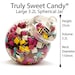 6 Small & Large Spherical Plastic Jar Candy Buffet Kit, 1 Tong, 1 Scoop ...