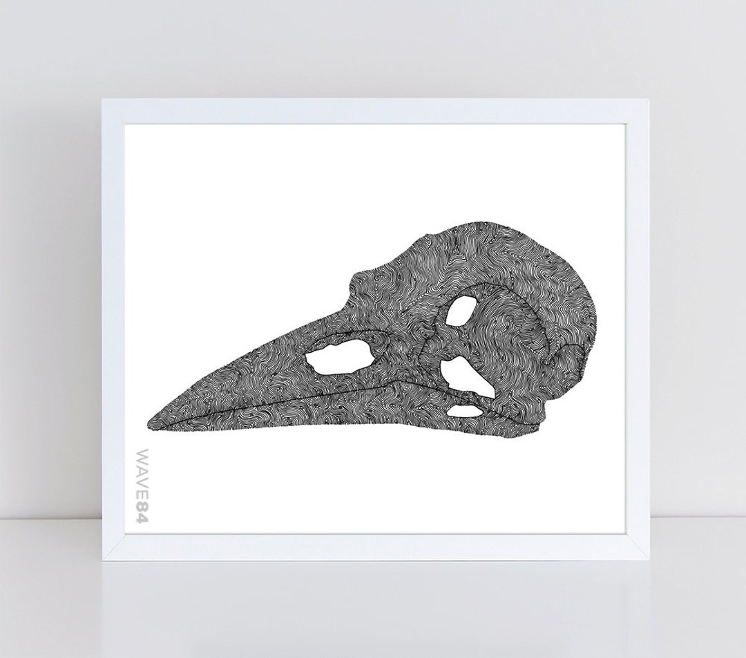 Bird Skull Art Print JPEG | Macabre Skull Print | Digital Print | 8x10 ...