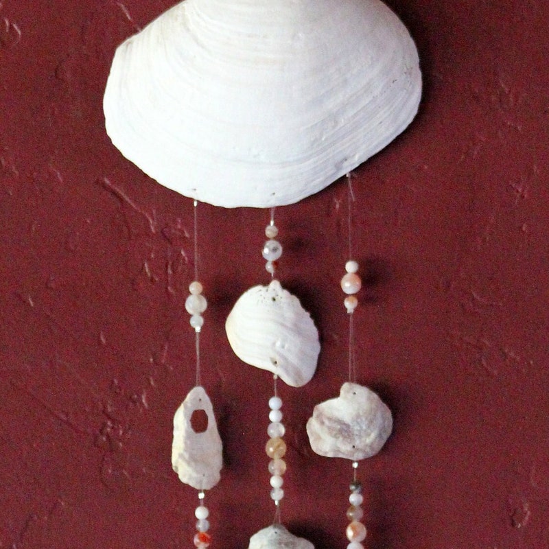 Seashell Wall Decor - Etsy