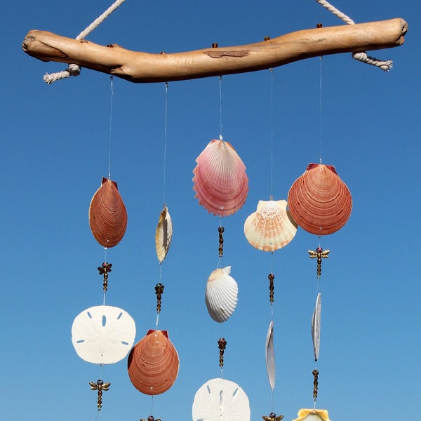 Sea Shell Windchime - Etsy