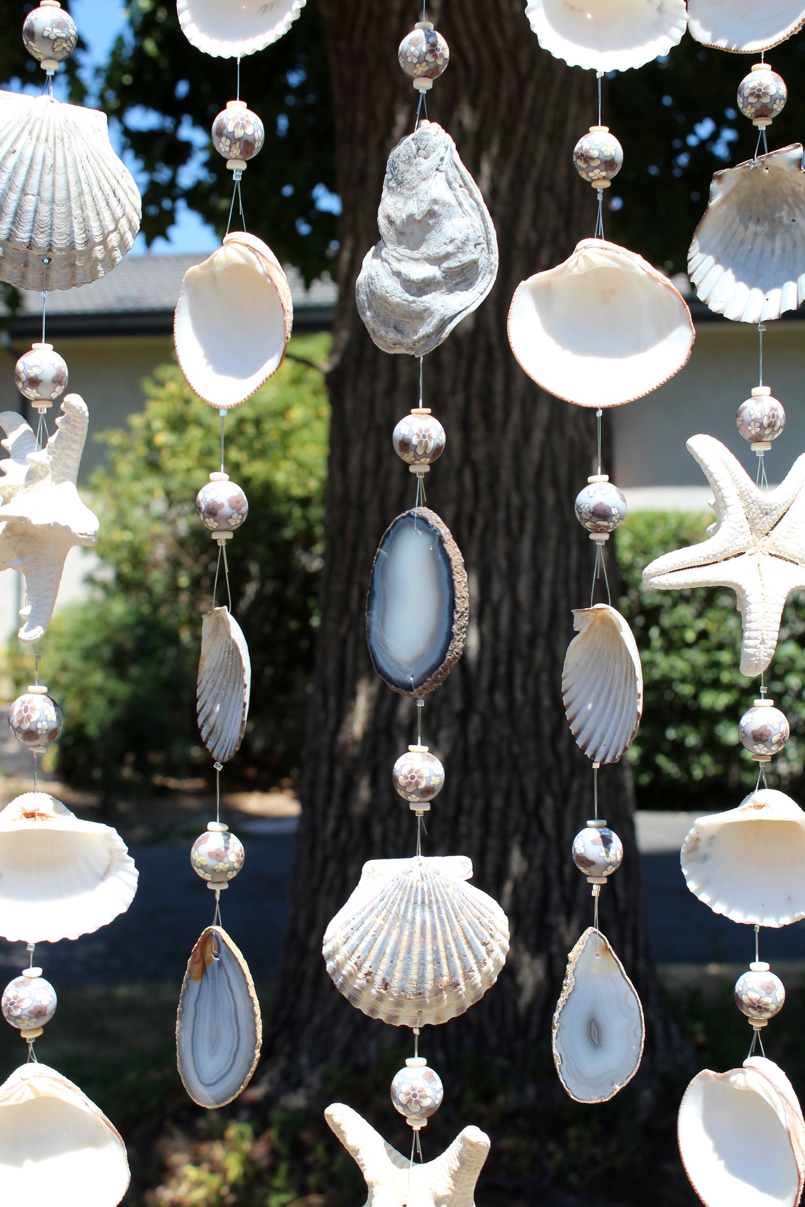 Driftwood Seashell Wind Chimes Handmade One-of-a-Kind Wind | Etsy