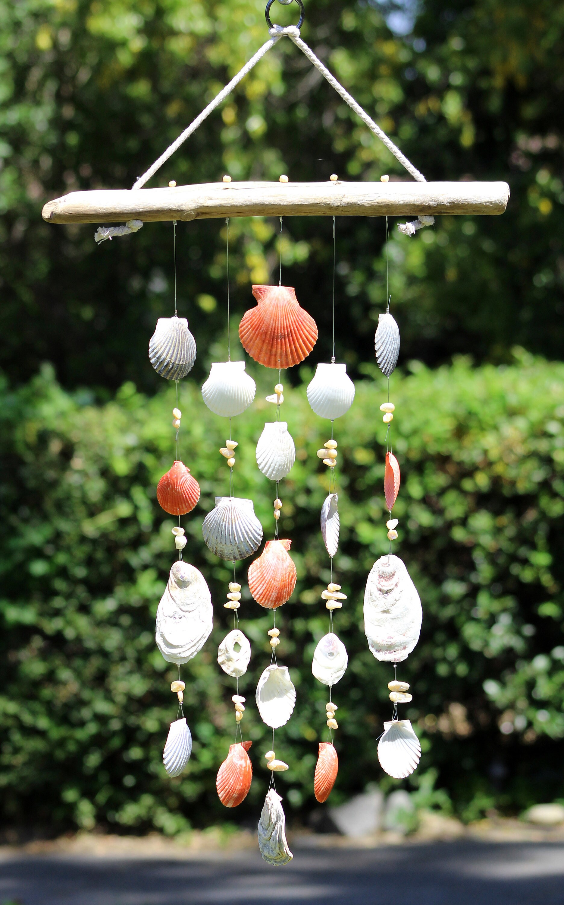 Homemade Seashell Wind Chimes