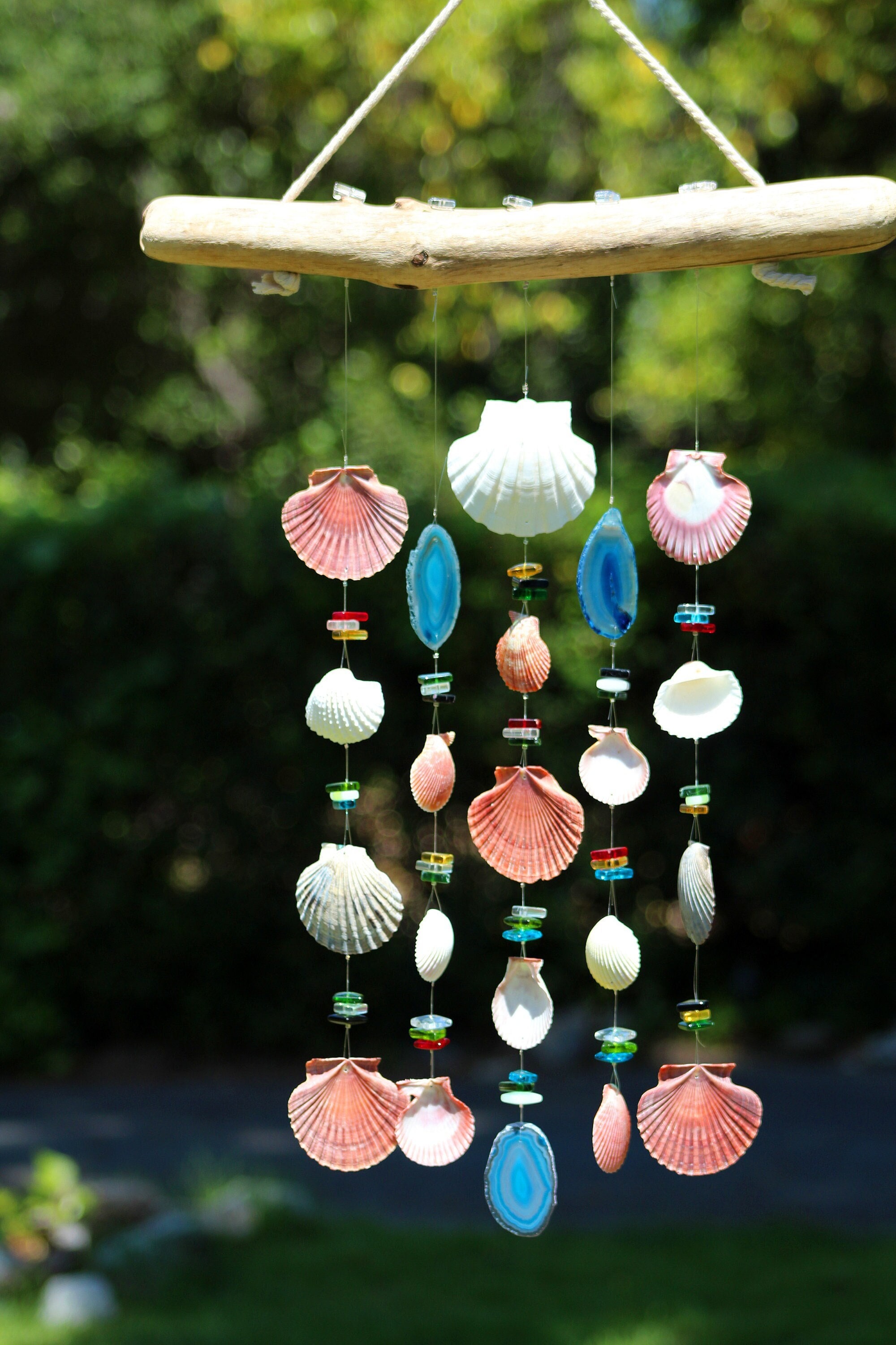 Seashell Driftwood Wind Chimes