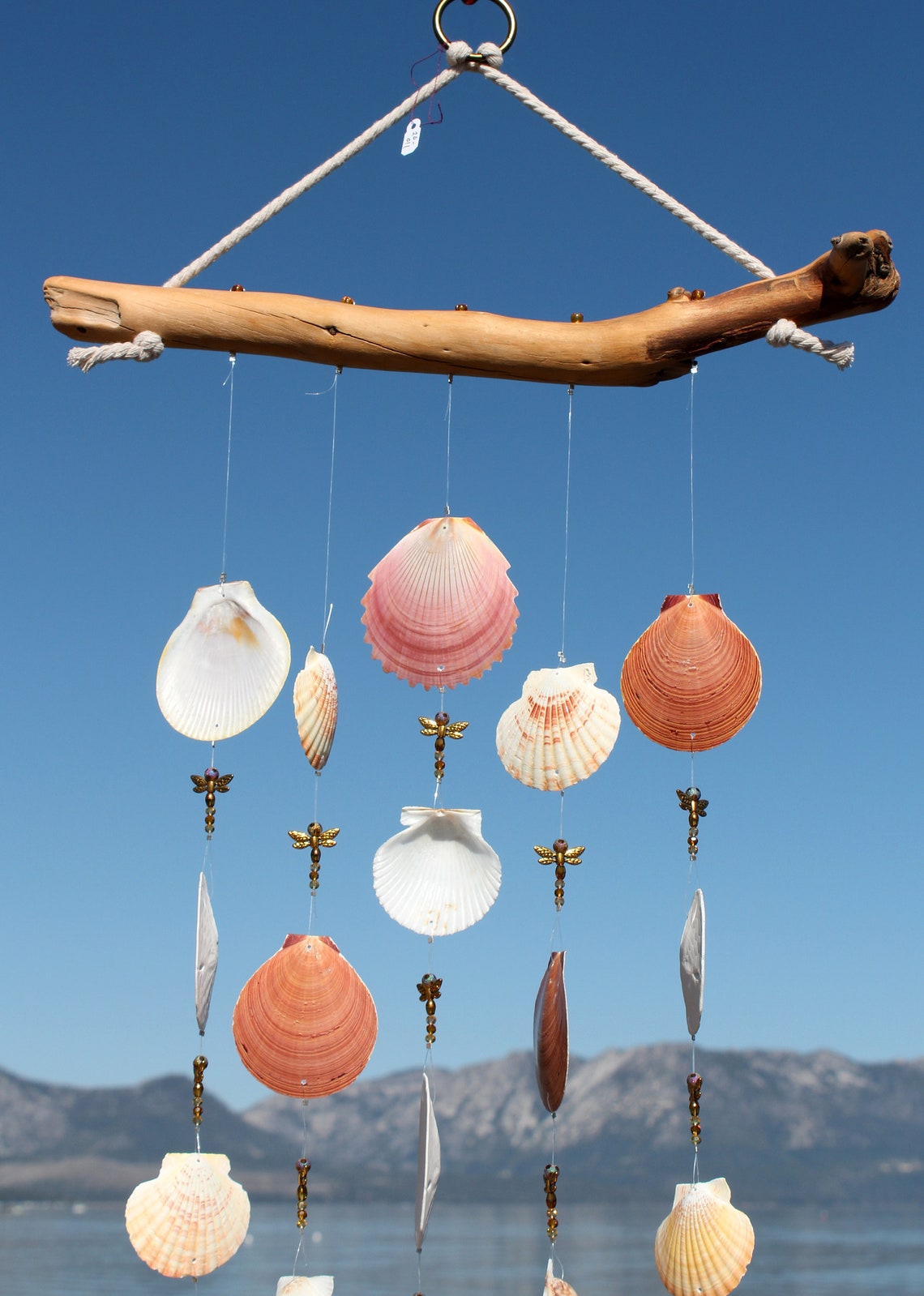Driftwood Seashell Wind Chimes Dragon Fly Beads Sea Shell - Etsy