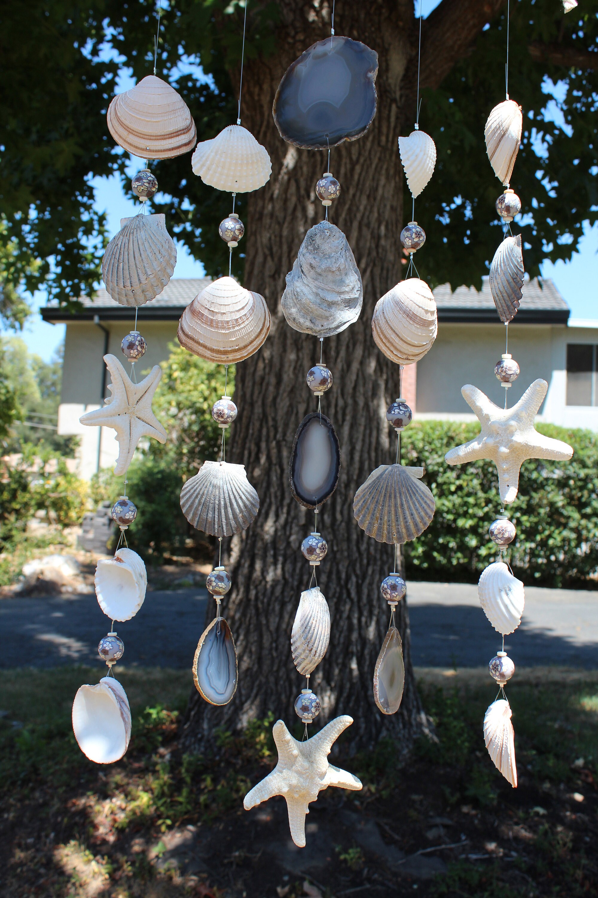 Driftwood Seashell Wind Chimes Handmade One-of-a-Kind Wind | Etsy