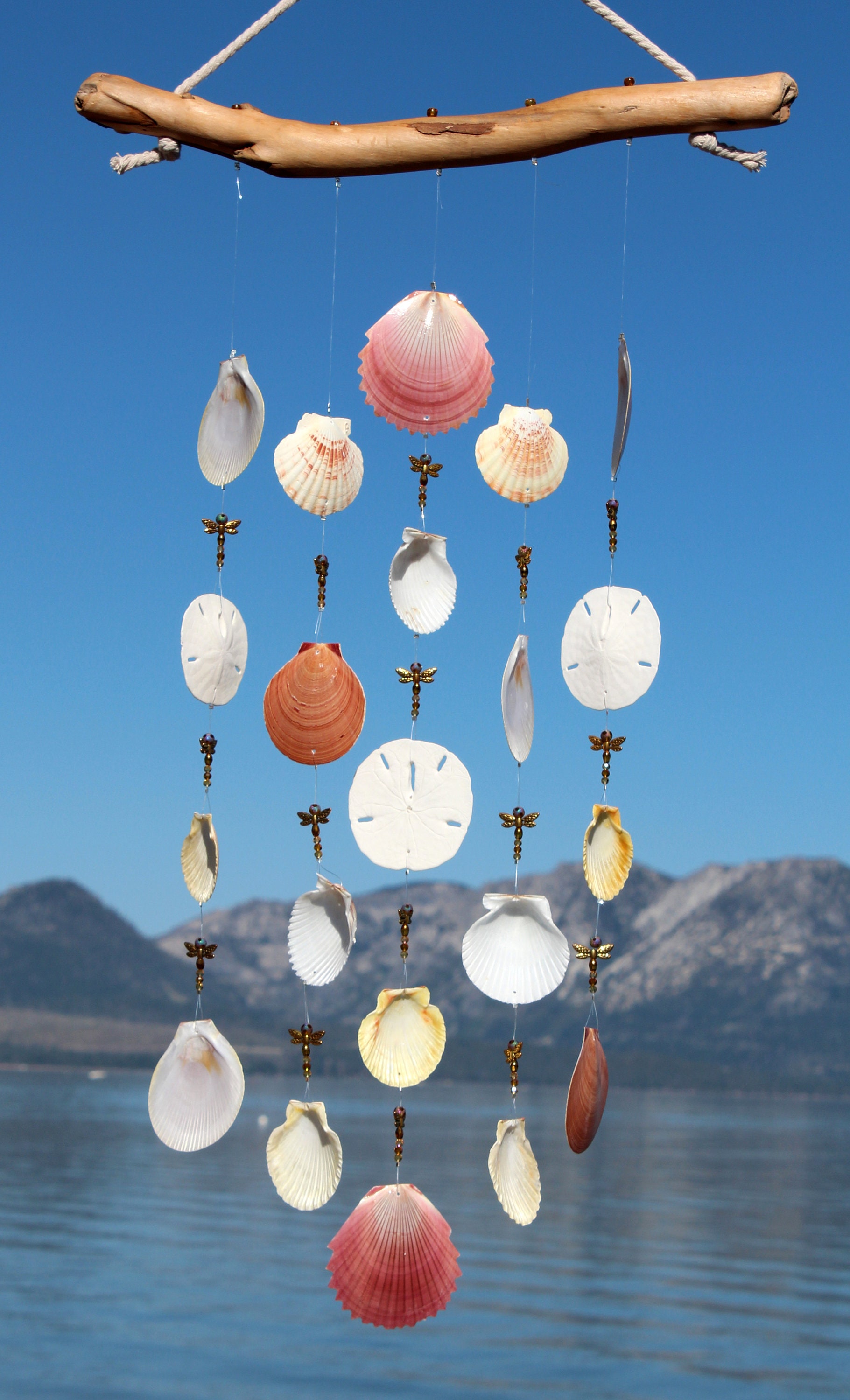 Driftwood Seashell Wind Chimes Dragon Fly Beads Sea Shell - Etsy