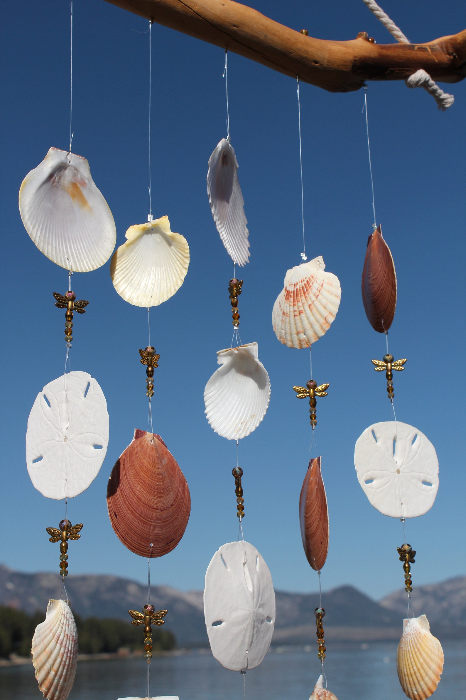 Driftwood Seashell Wind Chimes Dragon Fly Beads Sea Shell - Etsy