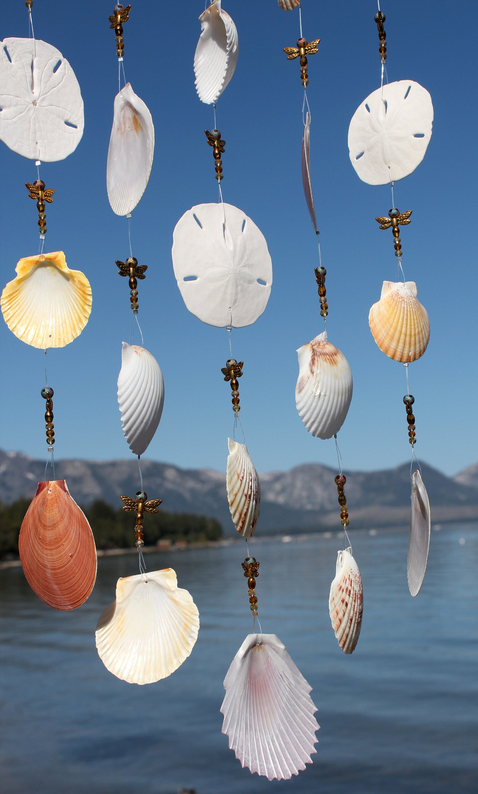 Driftwood Seashell Wind Chimes Dragon Fly Beads Sea Shell - Etsy
