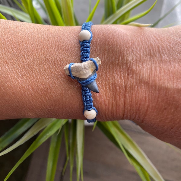 Shark Tooth Bracelet - Etsy