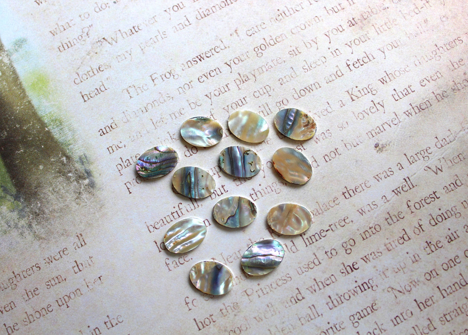 Abalone Doublet // One Dozen // Yellow Abalone Shell Doublet | Etsy