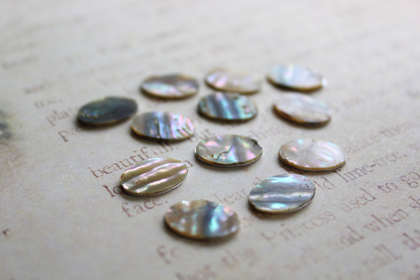 Abalone Doublet // One Dozen // Yellow Abalone Shell Doublet | Etsy