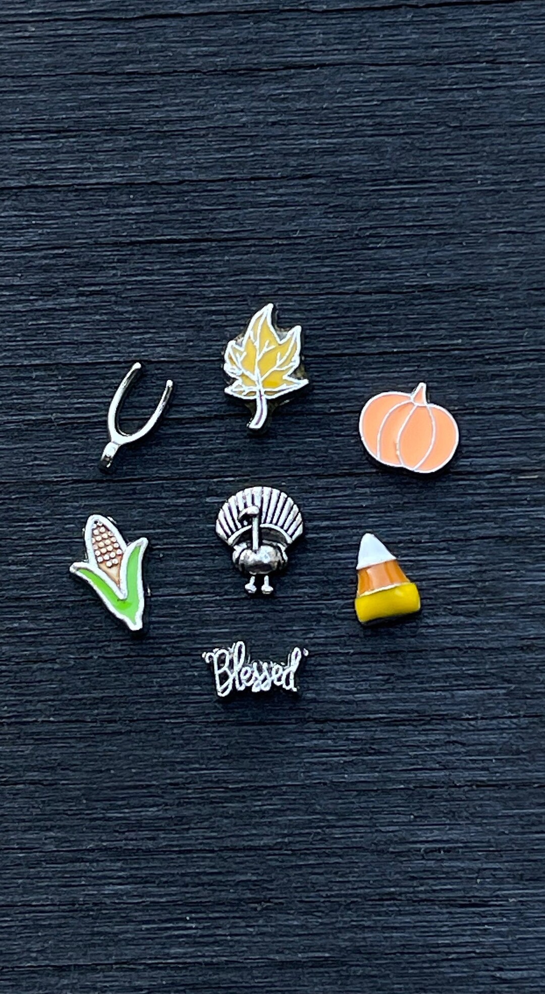Thanksgiving Floating Charm Set, 7pc Theme Set, Turkey Wishbone Pumpkin ...