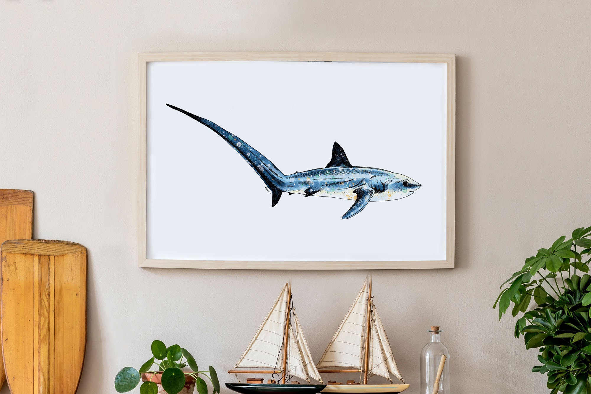 Thresher Shark Drawing