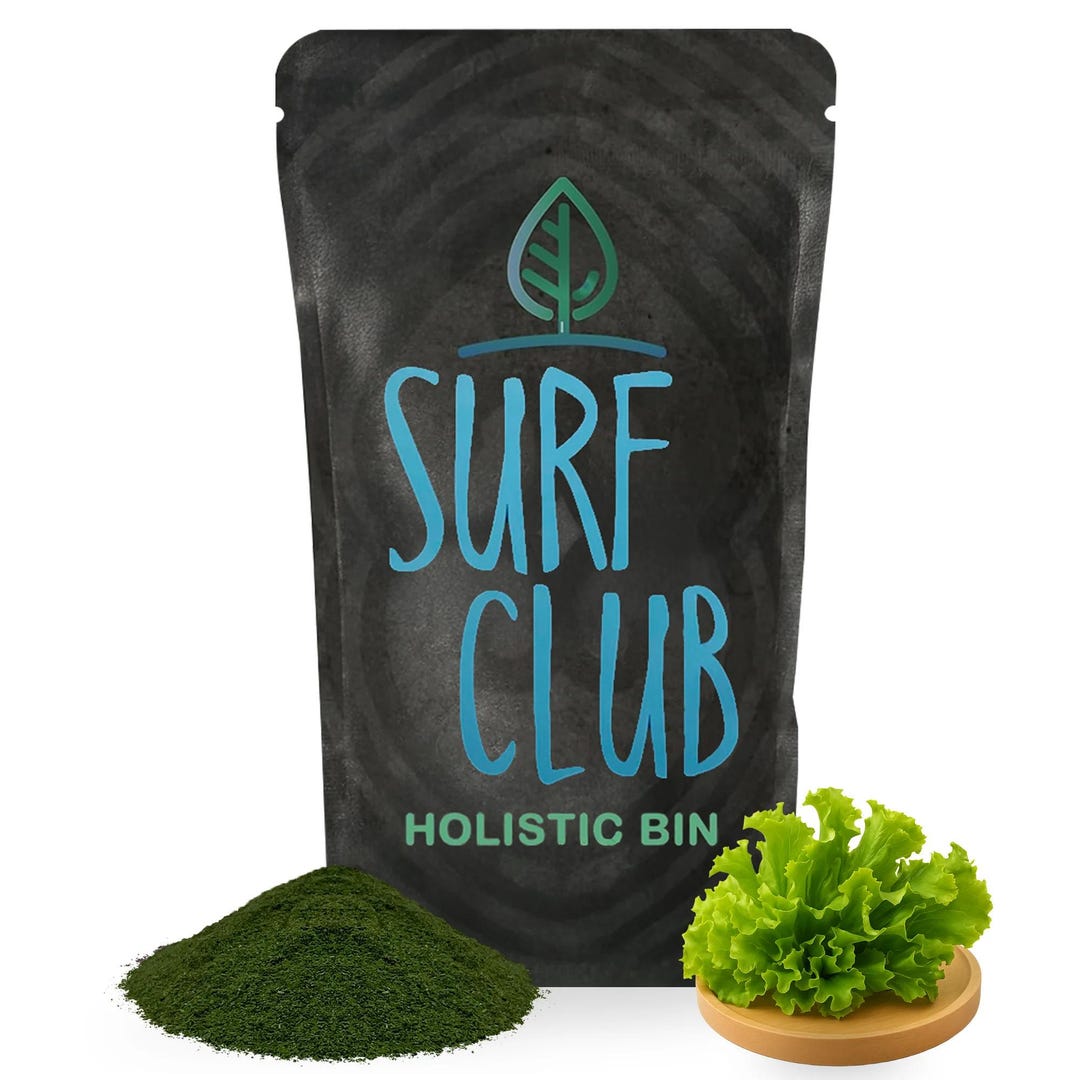 Celtic Sea Lettuce Laver: (ulva Lactuca) Raw Seaweed Powder - 30 Grams ...