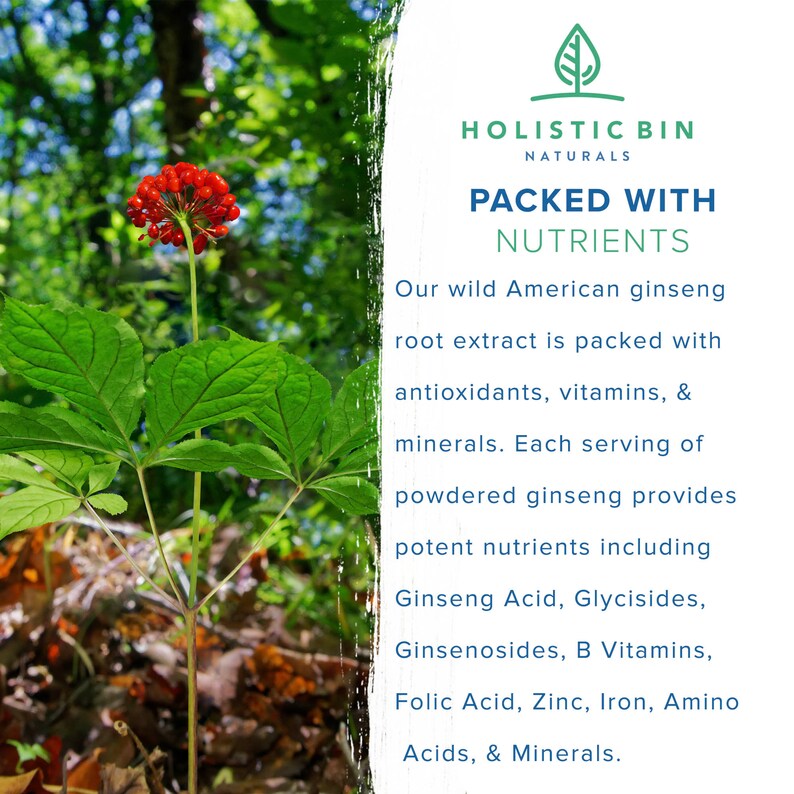 Wild American Ginseng Powder: Organic Appalachian Supplement - Etsy