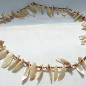 Natural Shell Necklace - Etsy