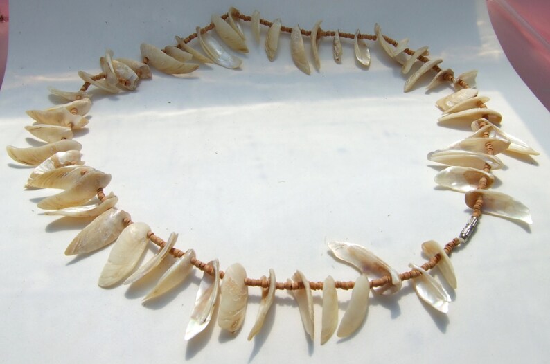 Natural Shell Necklace - Etsy