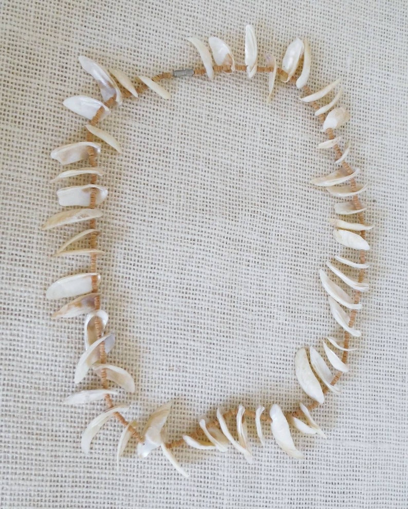 Natural Shell Necklace - Etsy