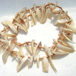 Natural Shell Necklace - Etsy