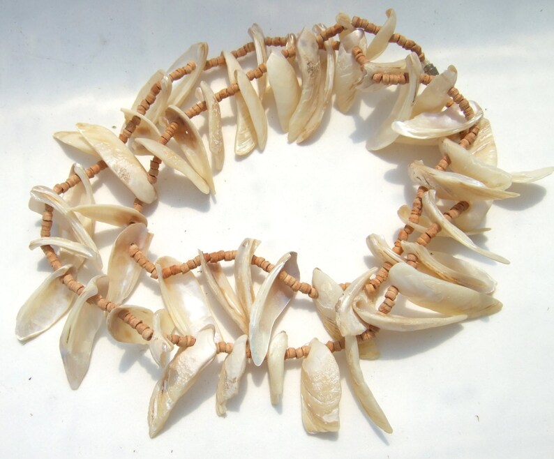 Natural Shell Necklace - Etsy