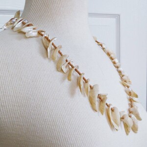 Natural Shell Necklace - Etsy
