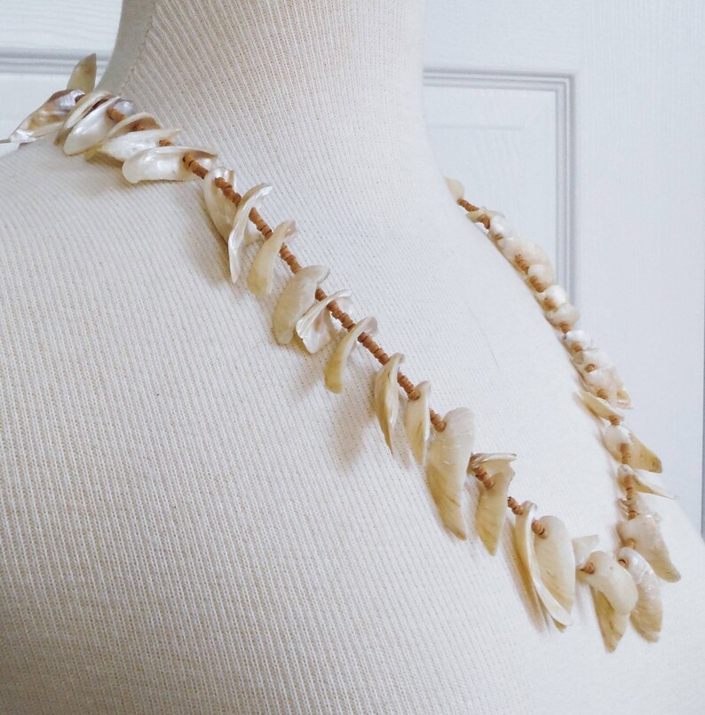 Natural Shell Necklace - Etsy