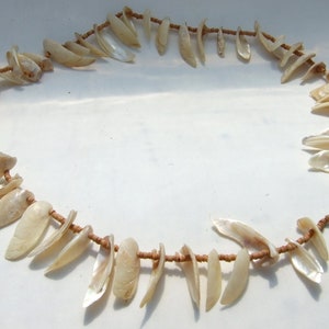 Natural Shell Necklace - Etsy