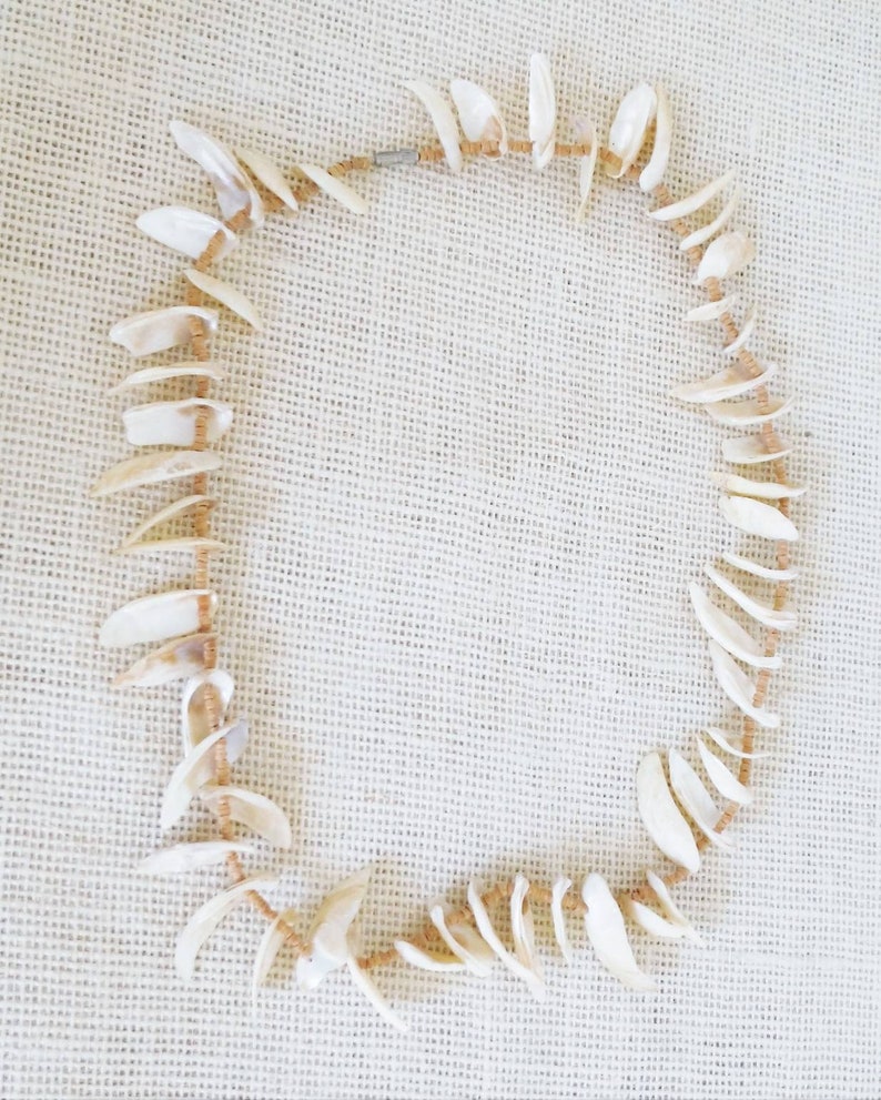 Natural Shell Necklace - Etsy