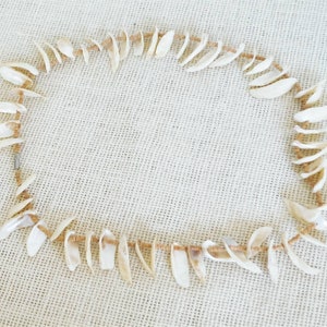 Natural Shell Necklace - Etsy