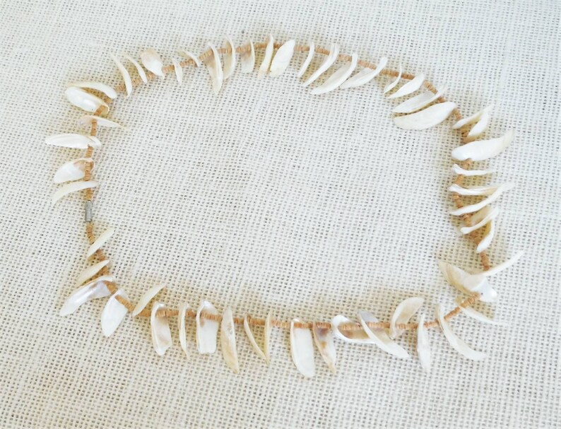 Natural Shell Necklace - Etsy