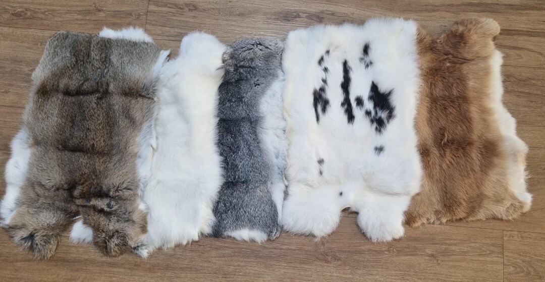 Rabbit Pelt Various Colours - Etsy