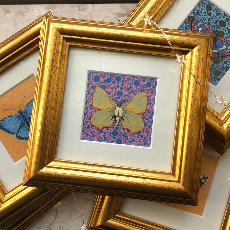Framed Butterfly - Etsy