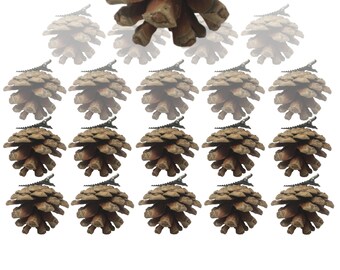 Pine Cone Ornaments | Etsy