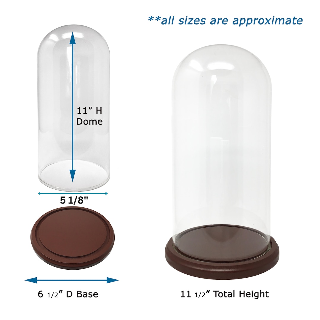 Glass Dome With Base 11 X 5 1/8 Clear Display Cloche Protective Bell ...