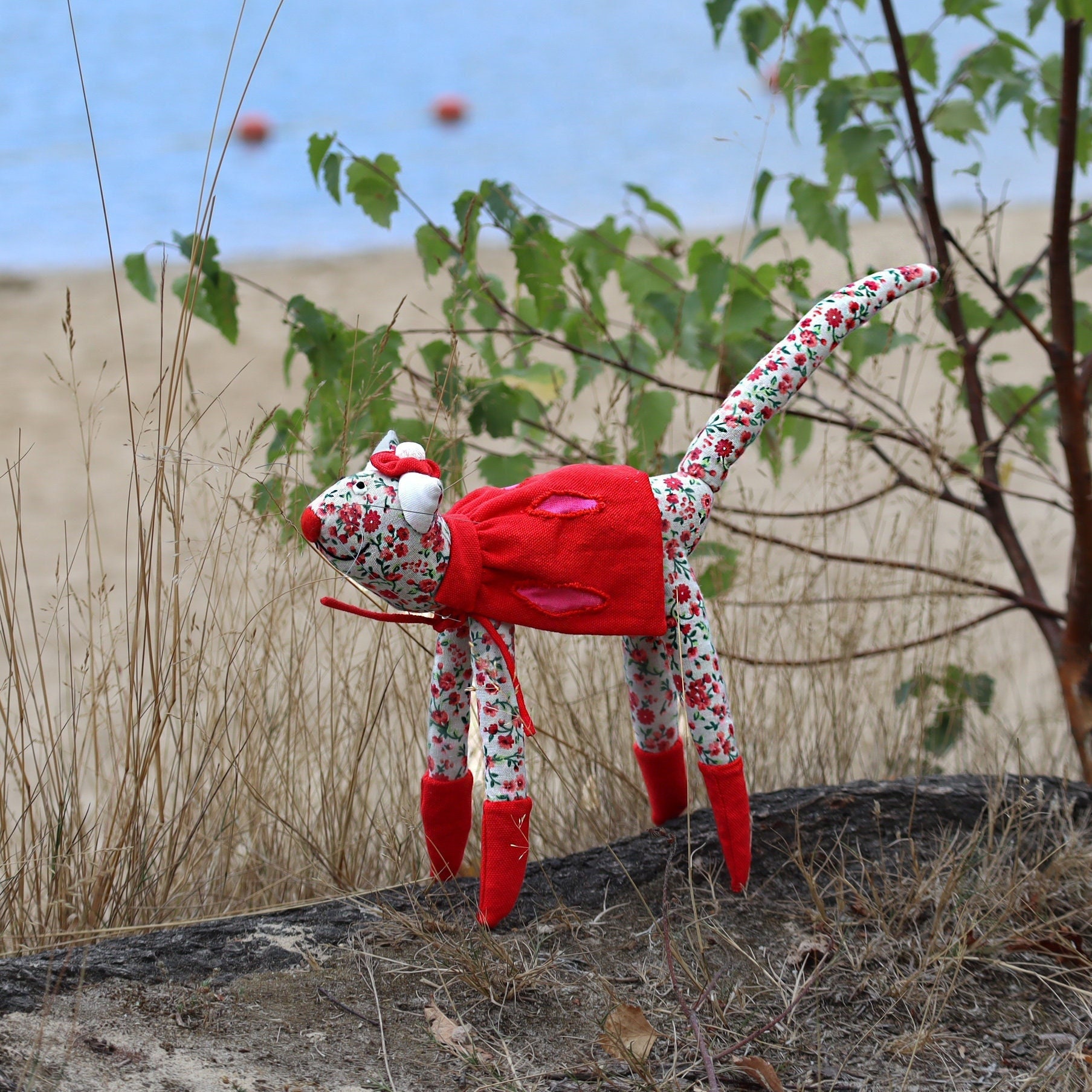 Puss in Boots - Cat in Boots - Cat in Clothes - Cat in the Socks - Cat ...