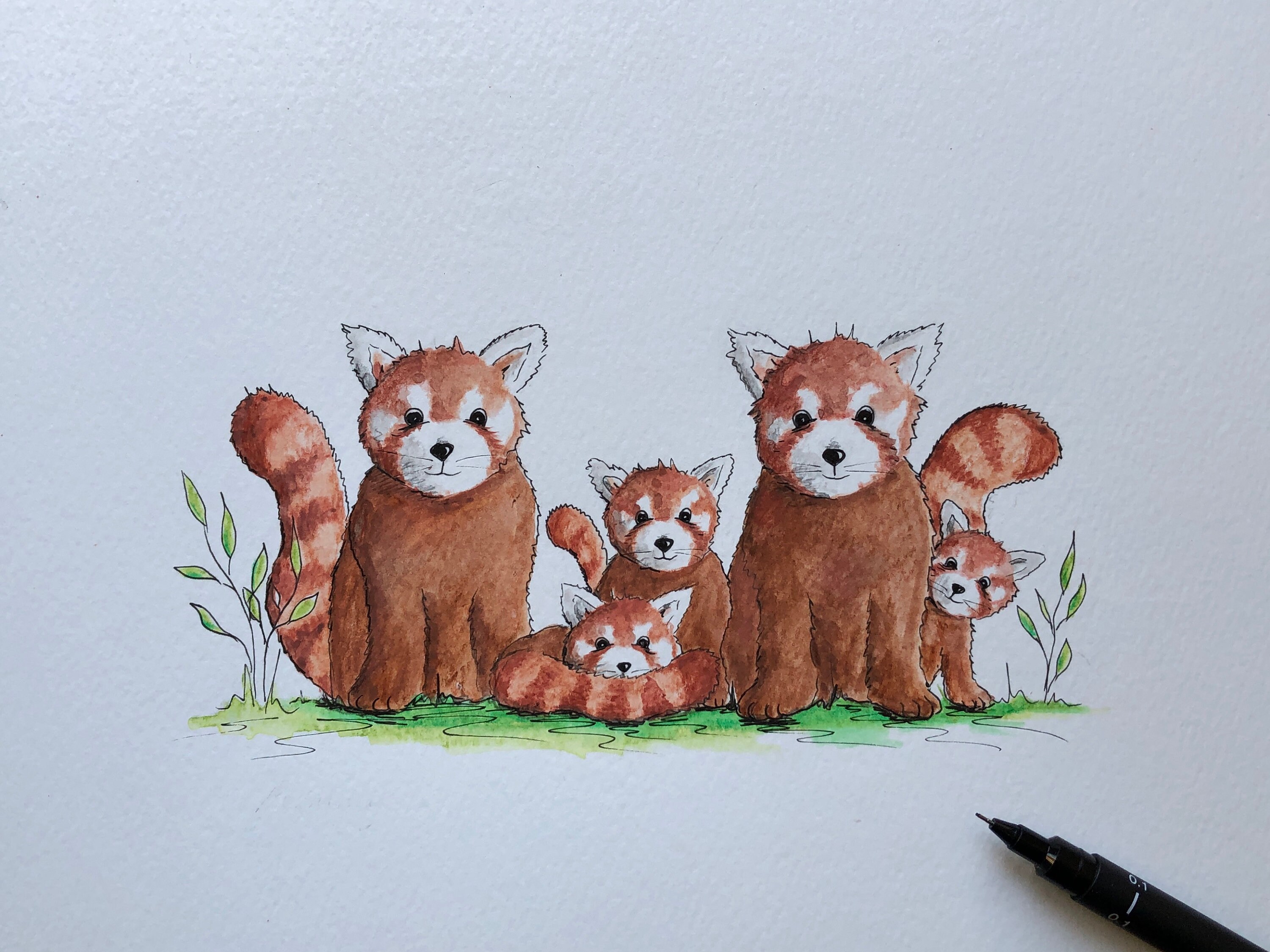 Red Pandas Family Portrait Hand Drawn Hand Painted | Etsy