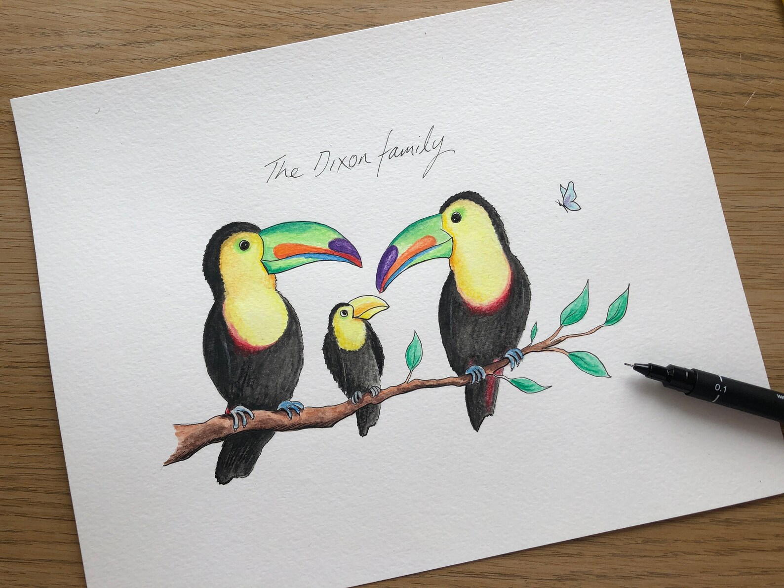 Toucan Family Portrait Hand Drawn Hand Painted - Etsy